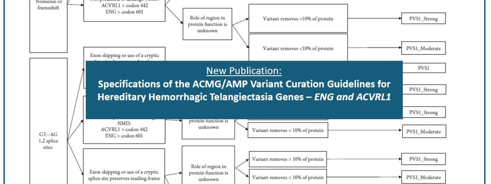 -default.JPG?1717039703