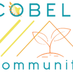 Cobell Scholars