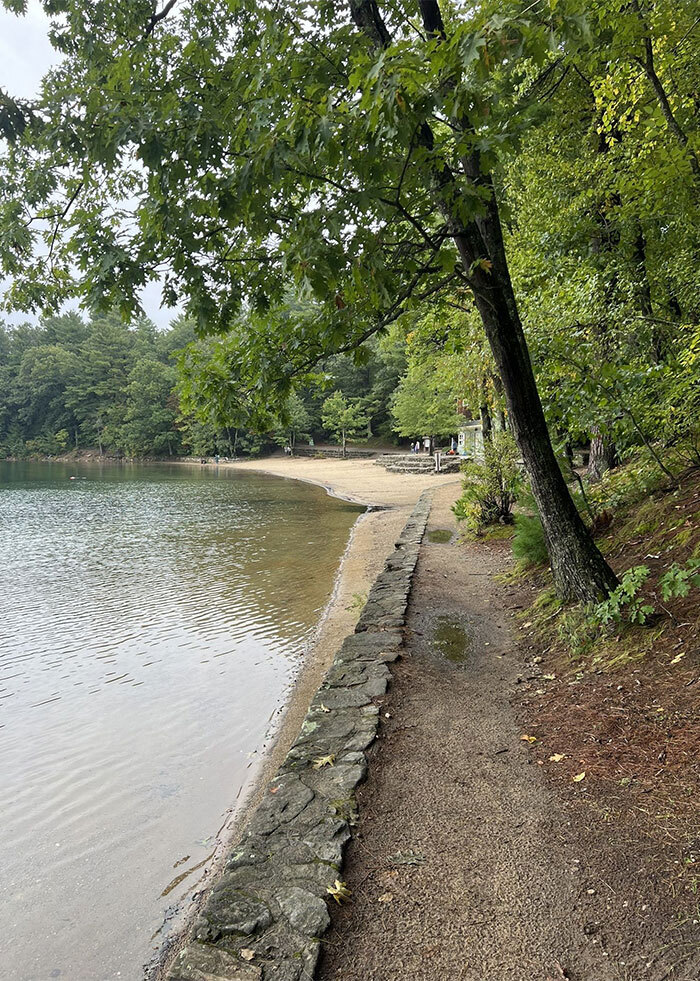 Walk Along Walden Pond With Alumni - Stanford University