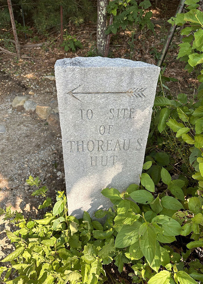 Walk Along Walden Pond With Alumni - Stanford University