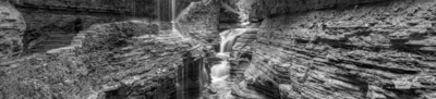 Finger Lakes Chapter | Cornell Hotel Society