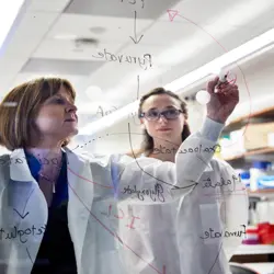 Weill Cornell Medicine Doctoral Programs | HMAI Alumni Community