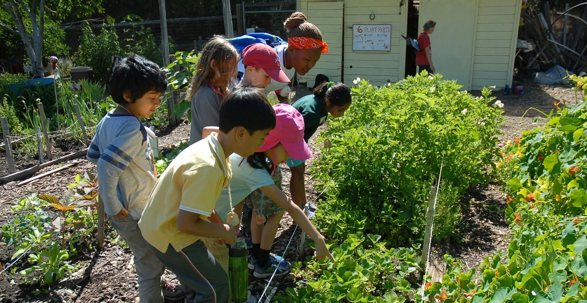 #87 Gardening Fun at Hidden Villa | CA - Los Altos Hills | Beyond the ...